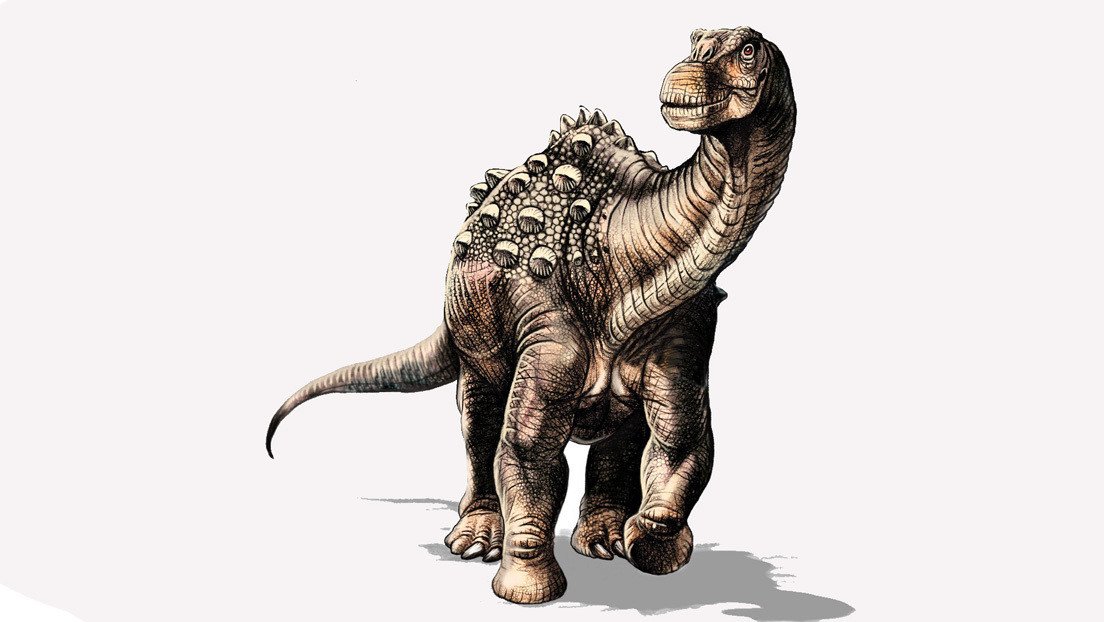 Paleontólogos encuentran al primer dinosaurio de Ecuador - RT