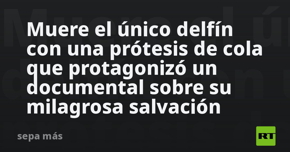 Muere el único delfín con una prótesis de cola que protagonizó un ...