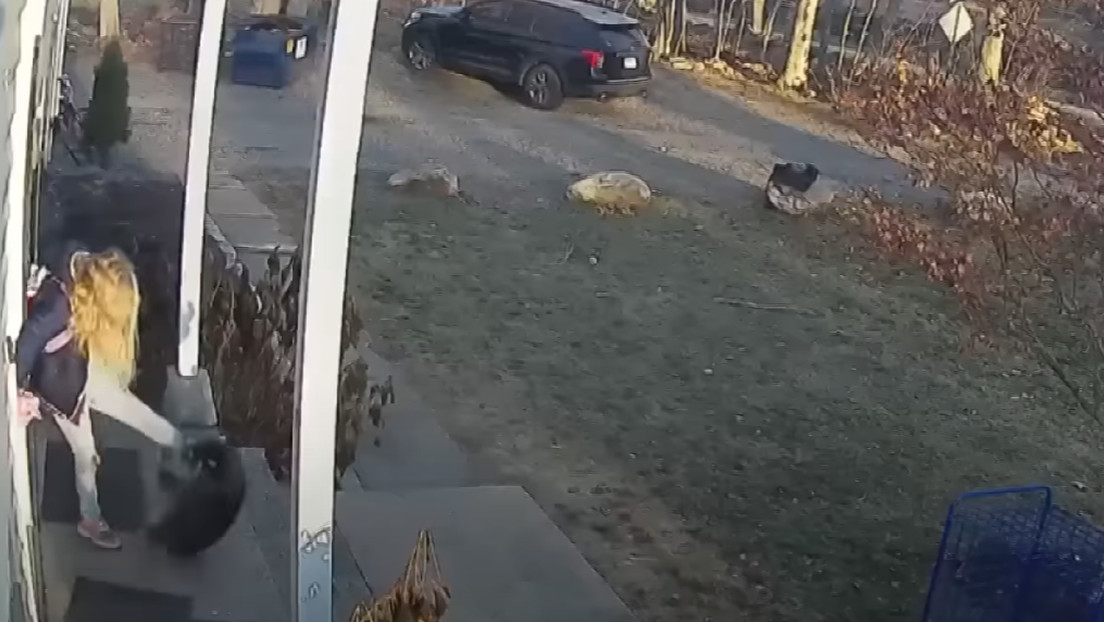 Una mujer salva a su hija del ataque de un mapache (VIDEO) - RT