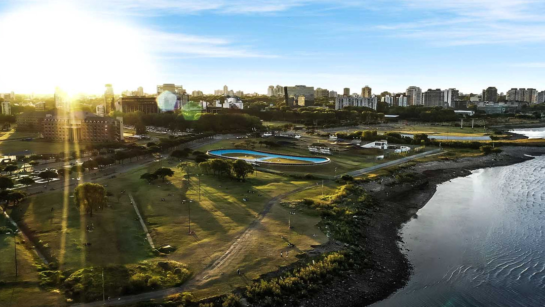 Lobo marino aparece en una concurrida zona de Buenos Aires (VIDEO) - RT