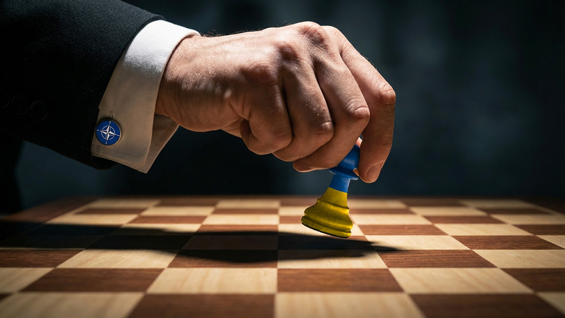 Dotcom lanza dura recomendación a Rusia frente a Occidente - RT