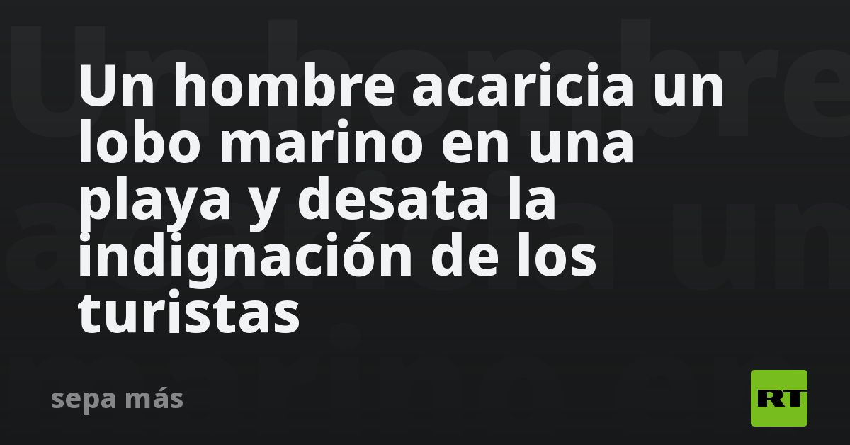 Un hombre acaricia un lobo marino en una playa y desata la indignación ...
