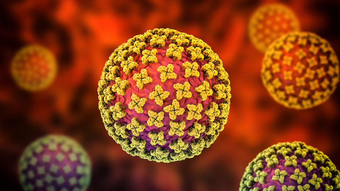 INFOGRAFÍA: Lo que hay que saber sobre el hantavirus - RT