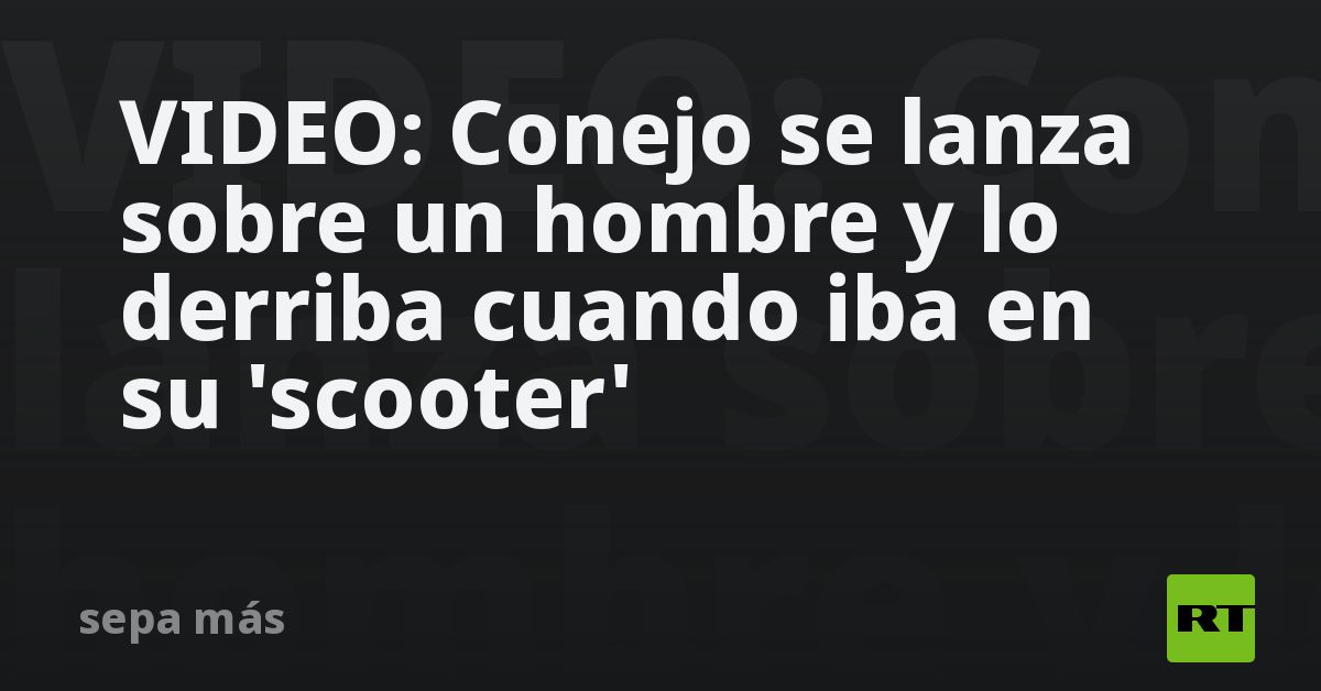 VIDEO: Conejo se lanza sobre un hombre y lo derriba cuando iba en su ...
